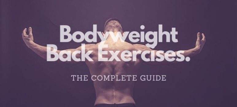 Muzcle – Get Stronger