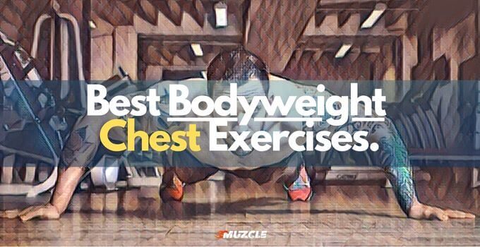 The 5 Best Bodyweight Chest Exercises to Build A Muscular Chest