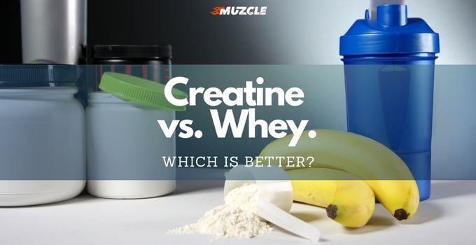 Creatine vs. Whey Protein: Why and When to Use Each