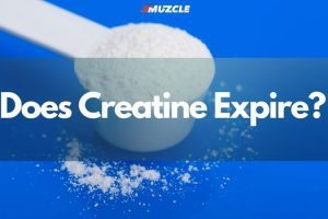 Muzcle – Workouts, Supplements, Nutrition & Advice