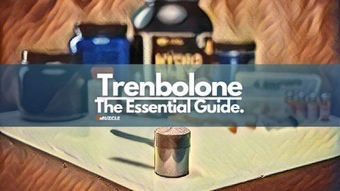 Trenbolone: The Key to Ripped and Muscular Physique?