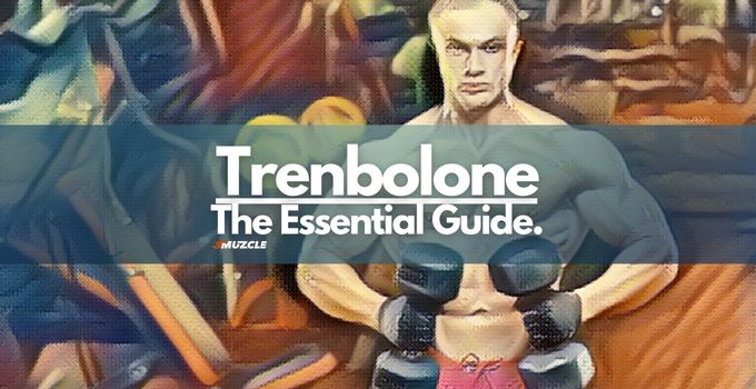 Trenbolone Review: Does Tren Really Work? Side Effects, Benefits