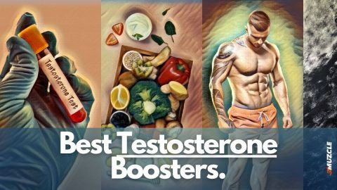 Best Testosterone Boosters 2024 - Unleash Your Potential