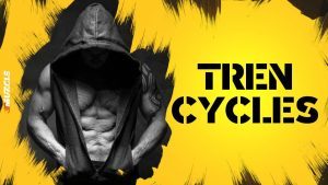 Trenbolone Cycles: Comprehensive Guide (Top 5 Dos & Don'ts)