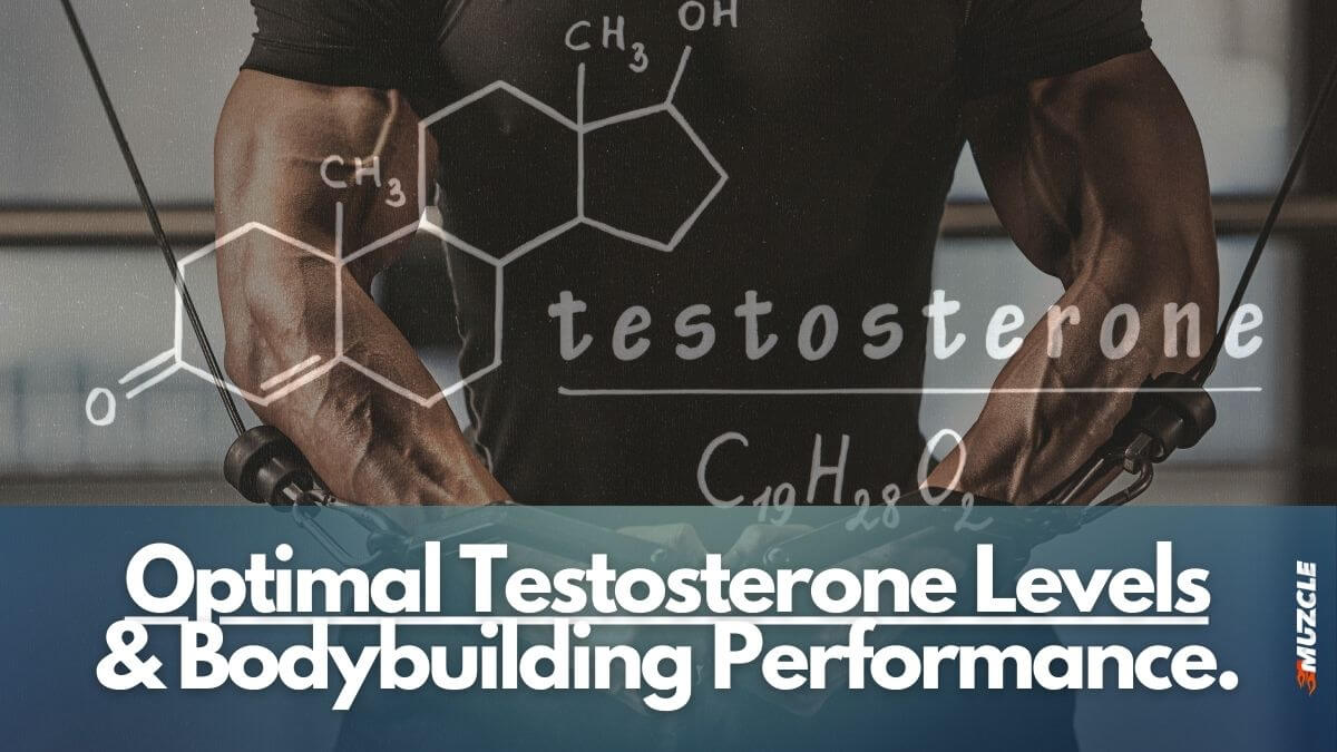 Optimal Testosterone Levels and My Bodybuilding Experience