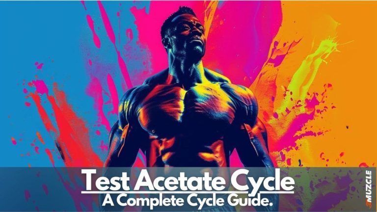Test Acetate Cycle: Dosage, Side Effects & PCT Essentials